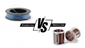 Braided Line vs Mono Fishing Line: Who Is the Winner of the Battle?