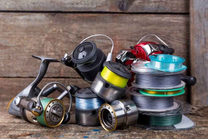TOP 11 Best Musky Reels Reviewed 2023 - Fisherreel